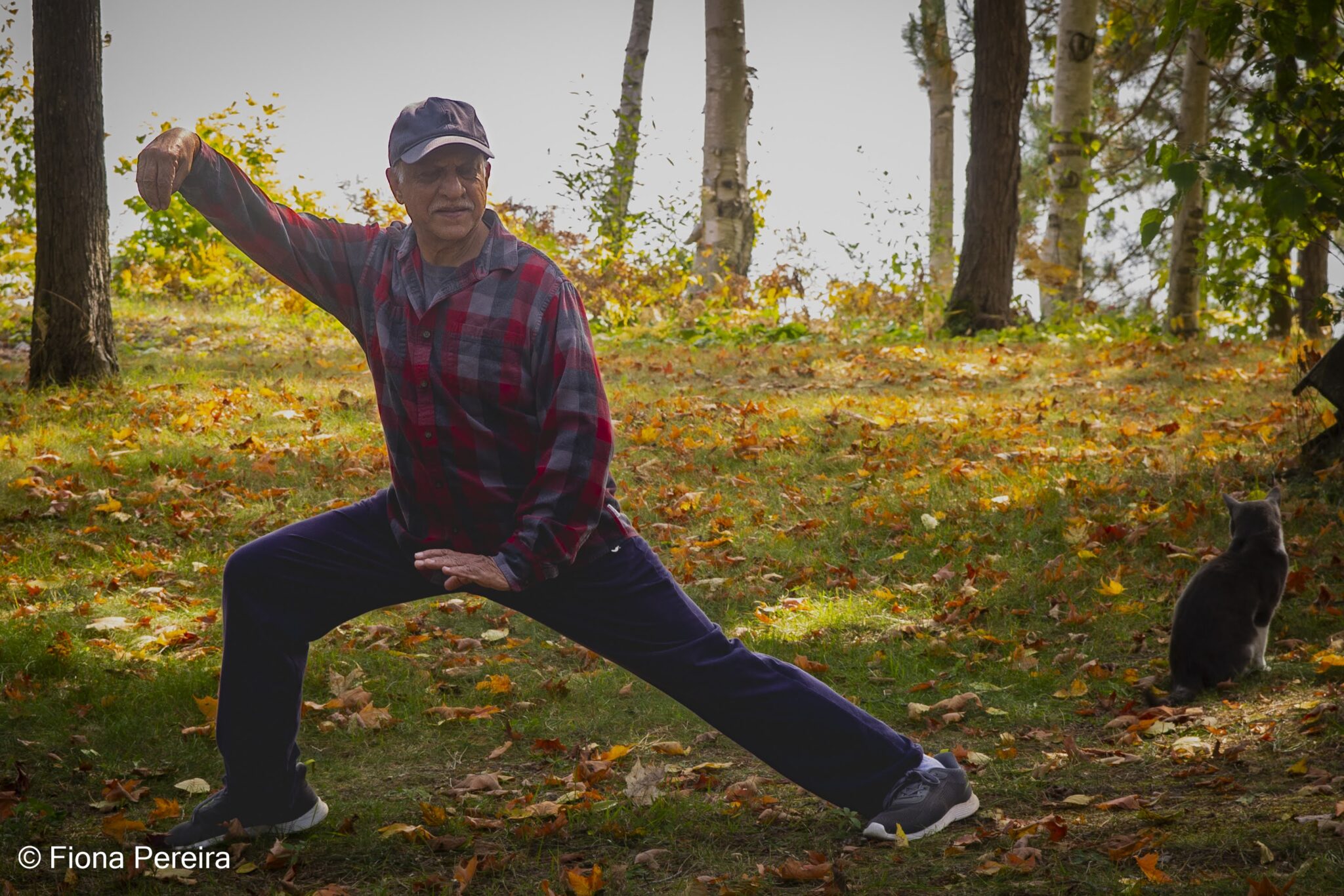 Instructor Profiles – Mississauga/Etobicoke – Tai Chi Journey